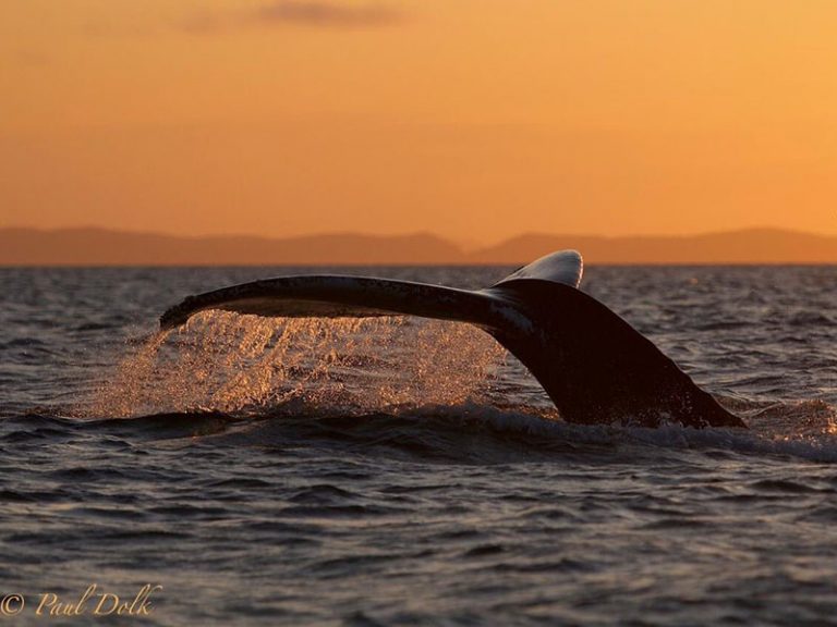 Attractions & Activities – Fishers' Loft