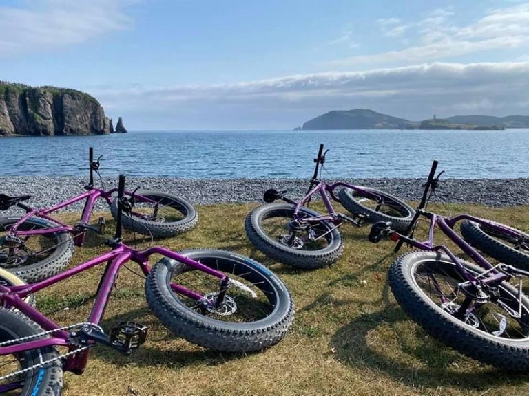 Attractions & Activities – Fishers' Loft